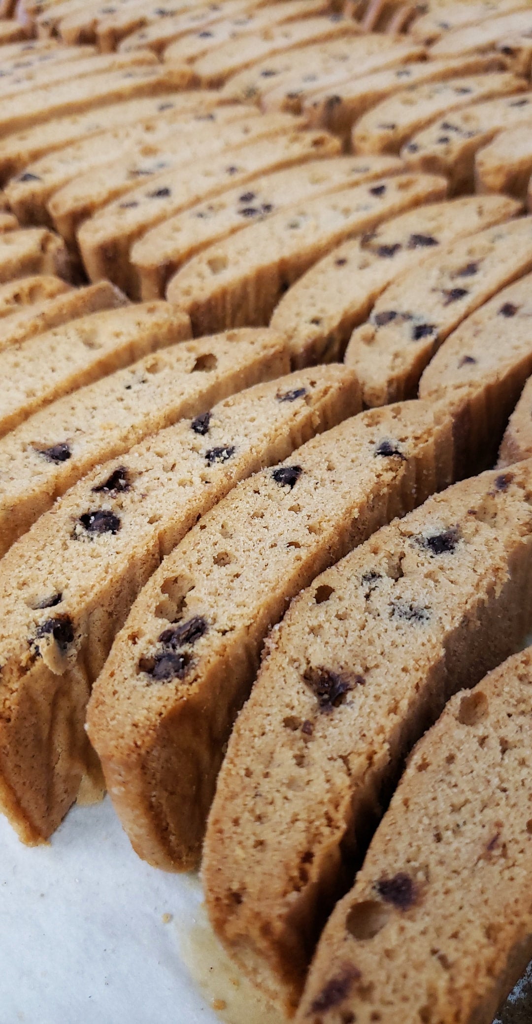 chocolate chip mandel bread | Shalom Kosher Bakery